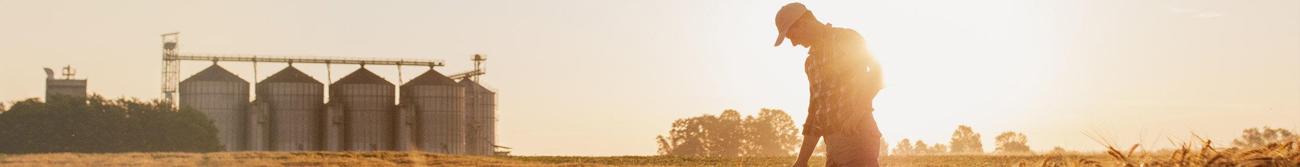 The Value of Wheat Research - Canadian Wheat Research Coalition (CWRC)